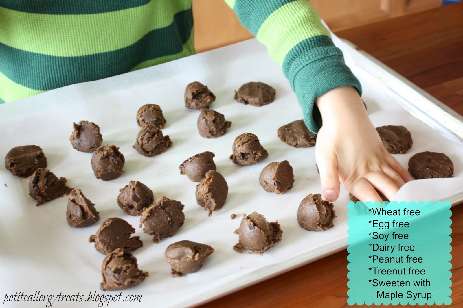 Sweet Debbie Organic Treats Book Review + Giveaway - Petite Allergy Treats