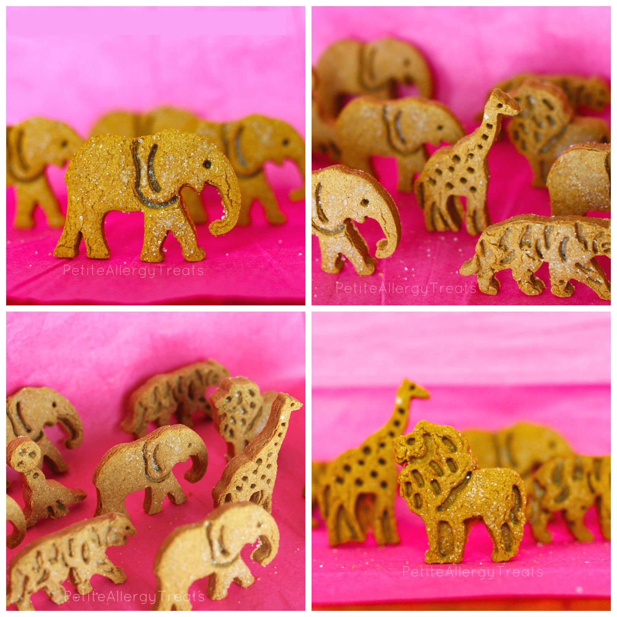 Gluten Free Vegan Animal Graham Crackers - Petite Allergy Treats