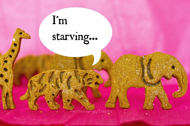 Gluten Free Vegan Animal Graham Crackers - Petite Allergy Treats