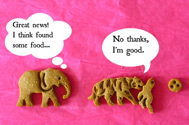 Gluten Free Vegan Animal Graham Crackers - Petite Allergy Treats