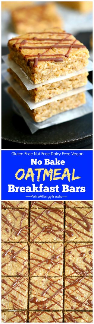 Gluten Free Oatmeal Breakfast Bars (Vegan) - Petite Allergy Treats